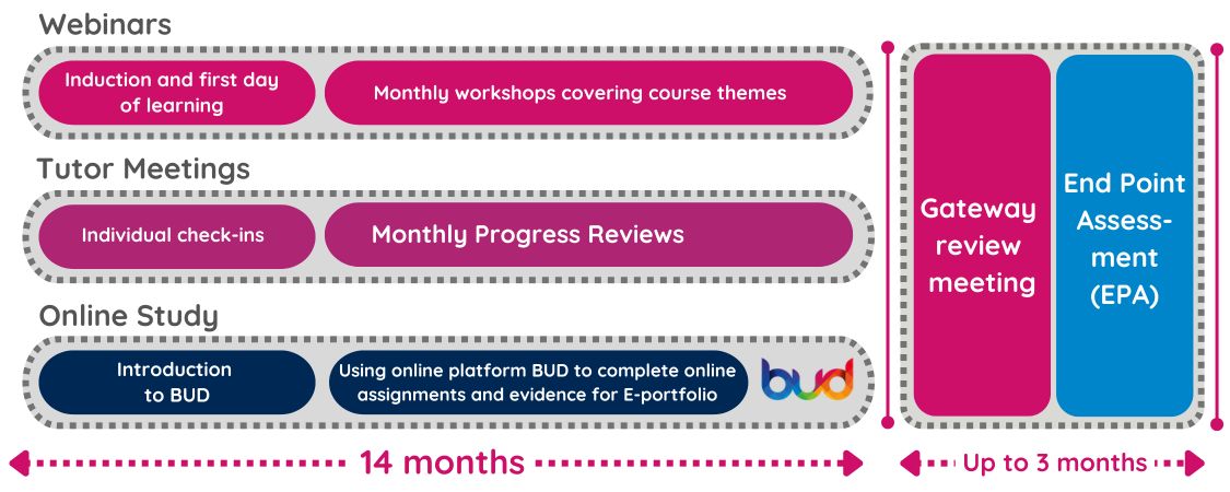 Coaching, Learning and Development Practitioner Apprenticeship | Best ...